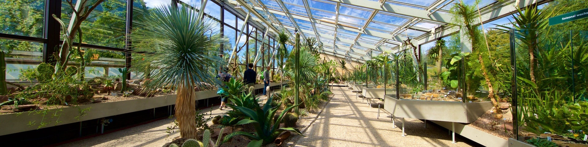 Berggarten mostrando vistas internas e um parque