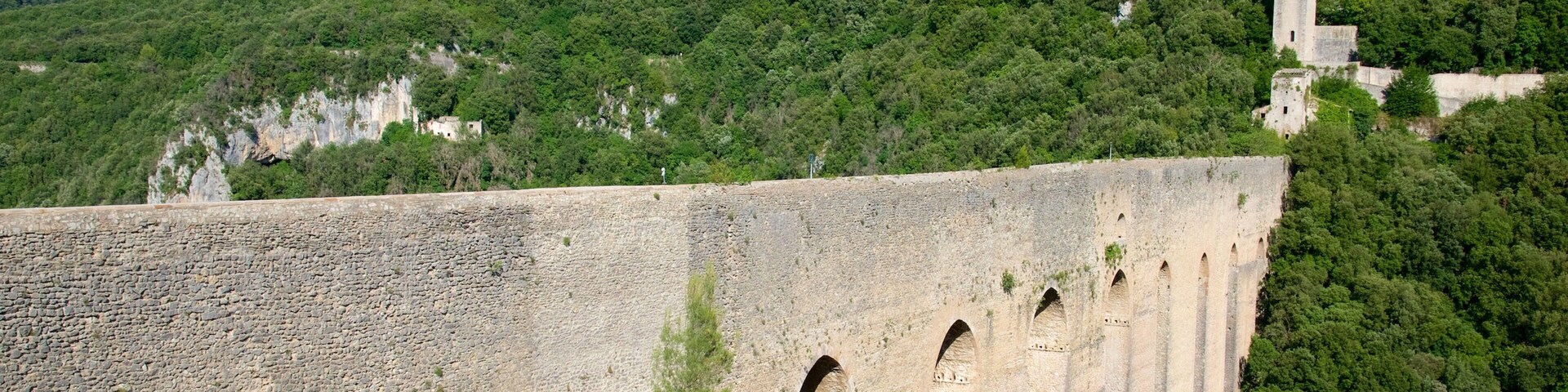 Tower\'s Bridge which includes a bridge and forest scenes