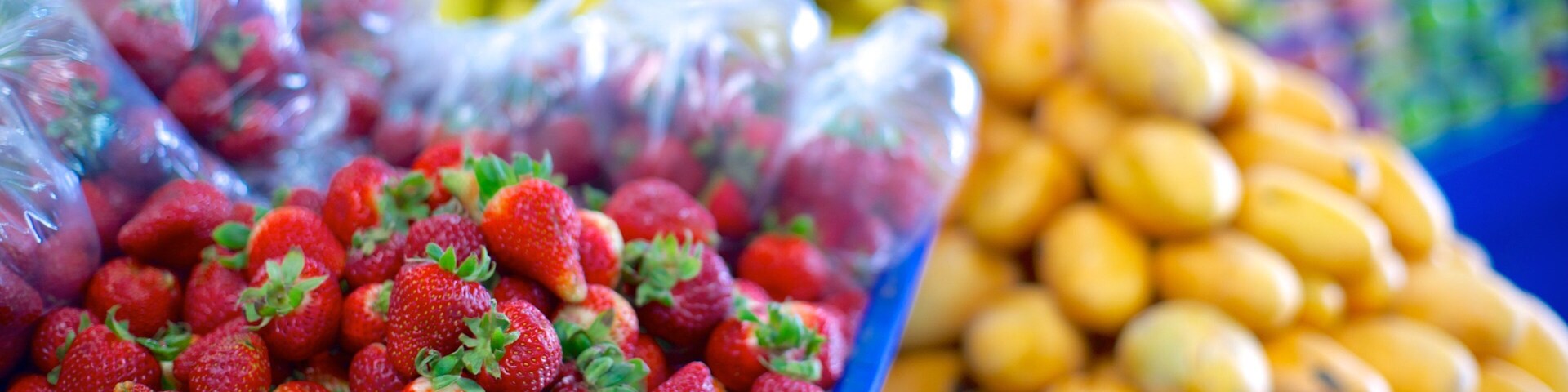 Jose Maria Pino Suarez Municipal Market featuring markets and food