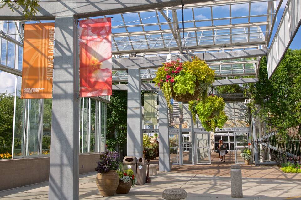 Uma estufa com plantas penduradas e faixas.