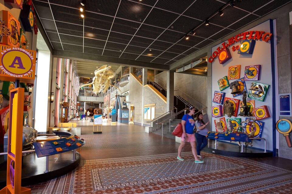 Interior de museu com uma grande exposição de esqueleto, uma placa com a inscrição 'Collecting to Zero' e diversos painéis educativos.