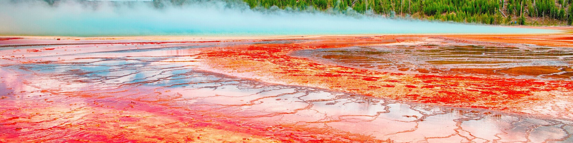 The Grand Prismatic Spring in Yellowstone National Park is the largest hot spring in the world! #yellowstone #nationalpark