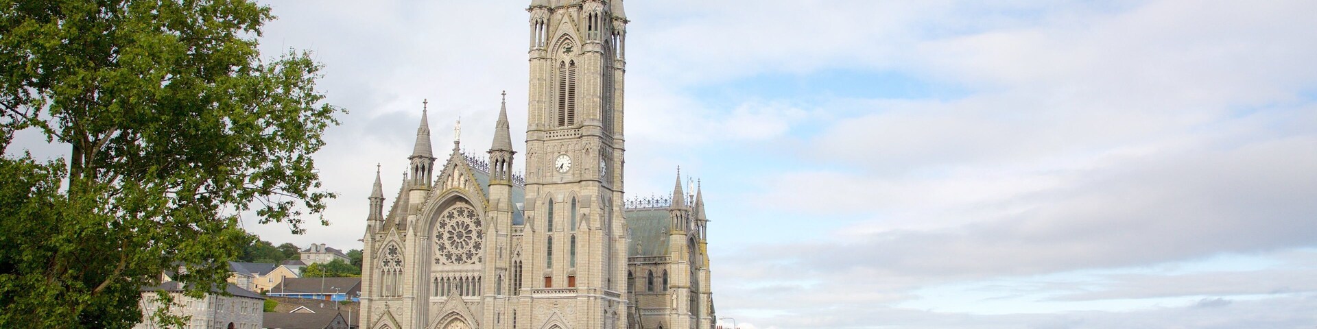 St. Colman\'s Cathedral caracterizando arquitetura de patrimônio, uma igreja ou catedral e elementos de patrimônio