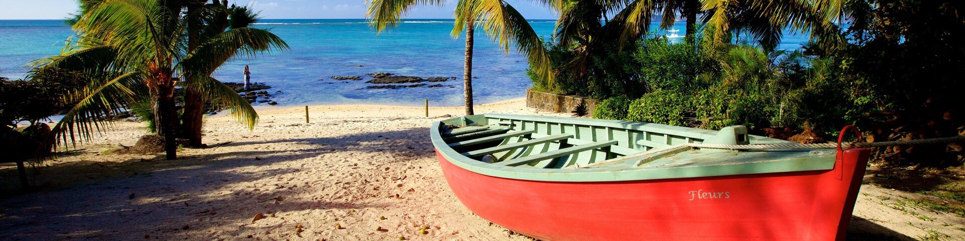 Mauritius featuring tropical scenes and a beach