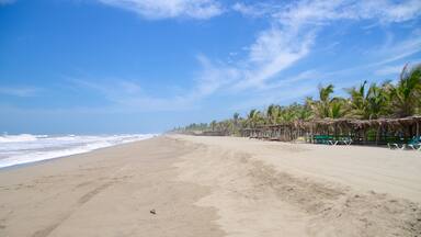 Uma praia com palmeiras e palafitas.