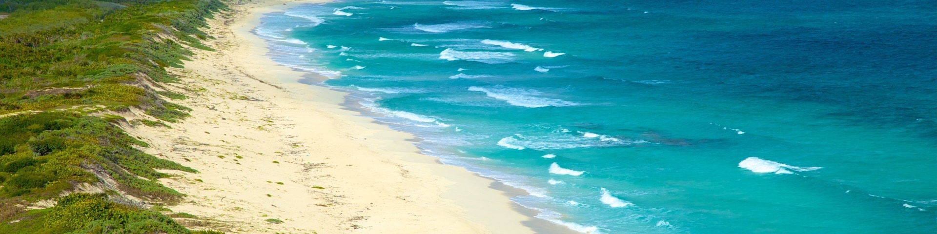 Punta Celerain Lighthouse featuring surf, a beach and general coastal views