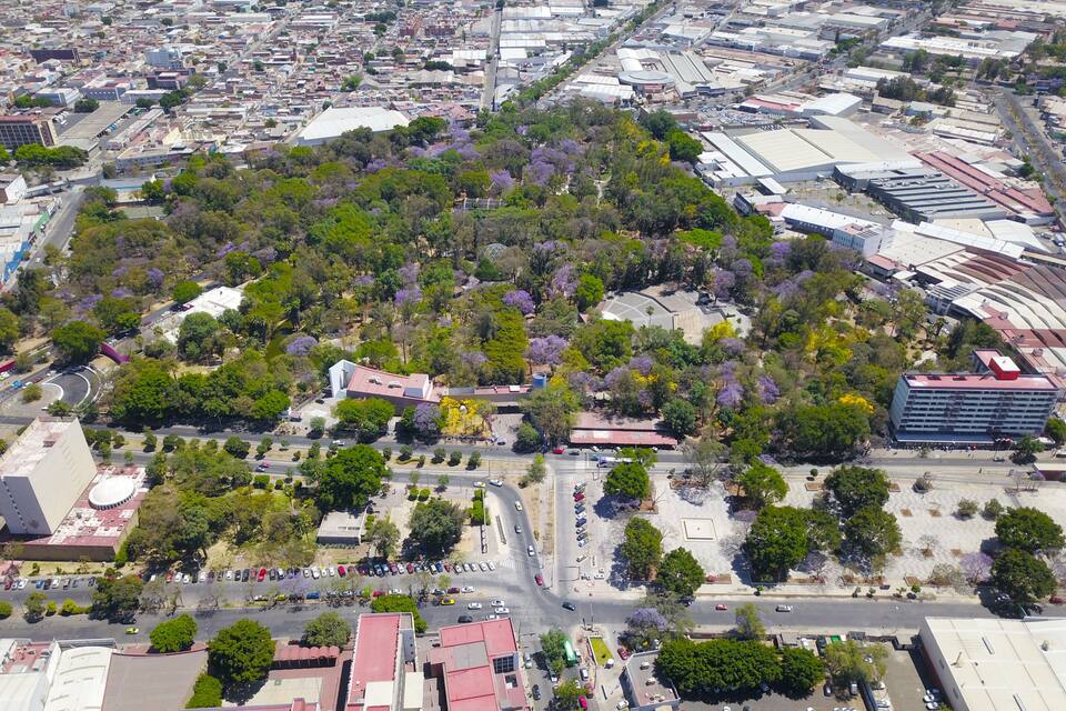 Uma área urbana com um parque central cercado por edifícios e ruas.