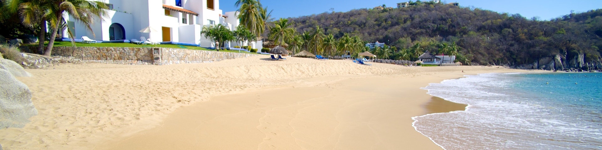 Zaachila Beach featuring a beach, tropical scenes and a coastal town