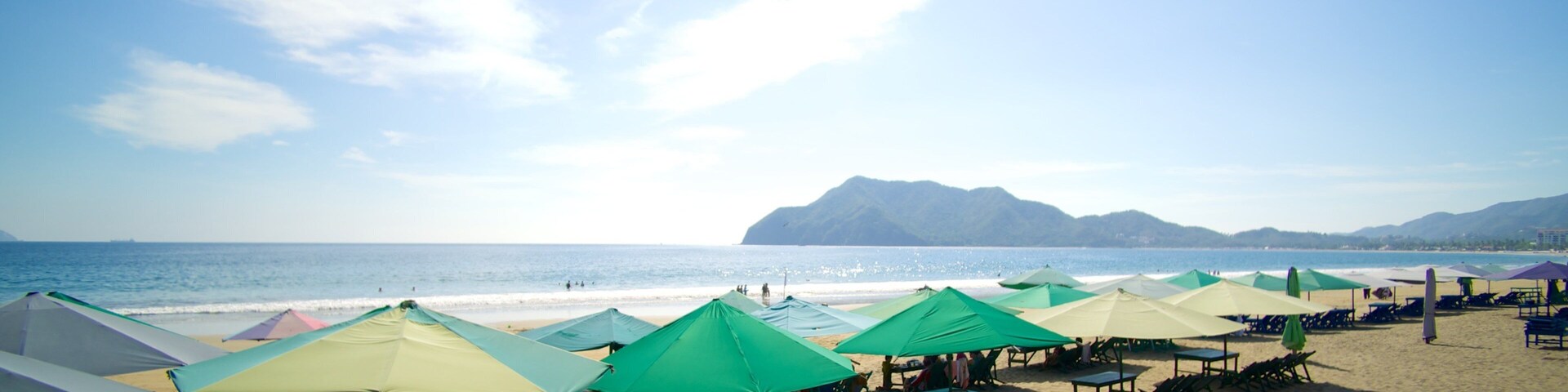 Uma praia com guarda-sóis e cadeiras de praia verdes.