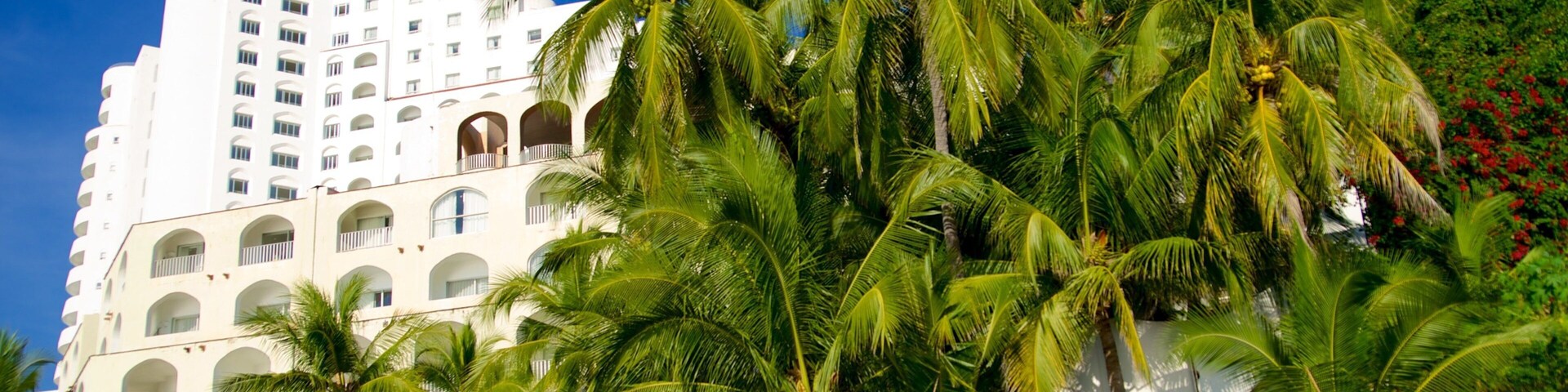 Playa La Audiencia which includes tropical scenes and a hotel