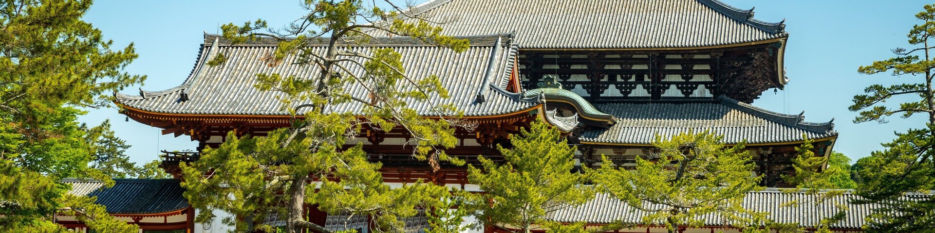 Todaiji Temple which includes a lake or waterhole, a temple or place of worship and heritage elements