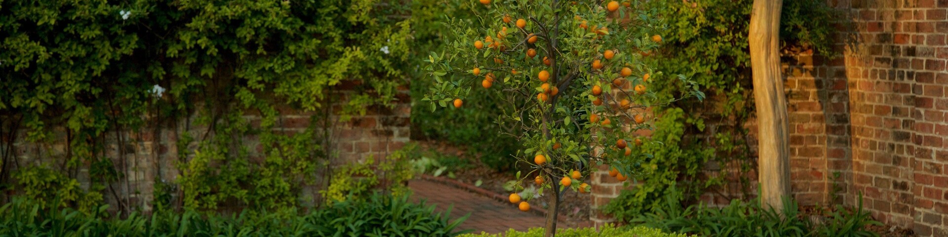 Longue Vue House and Gardens which includes a garden