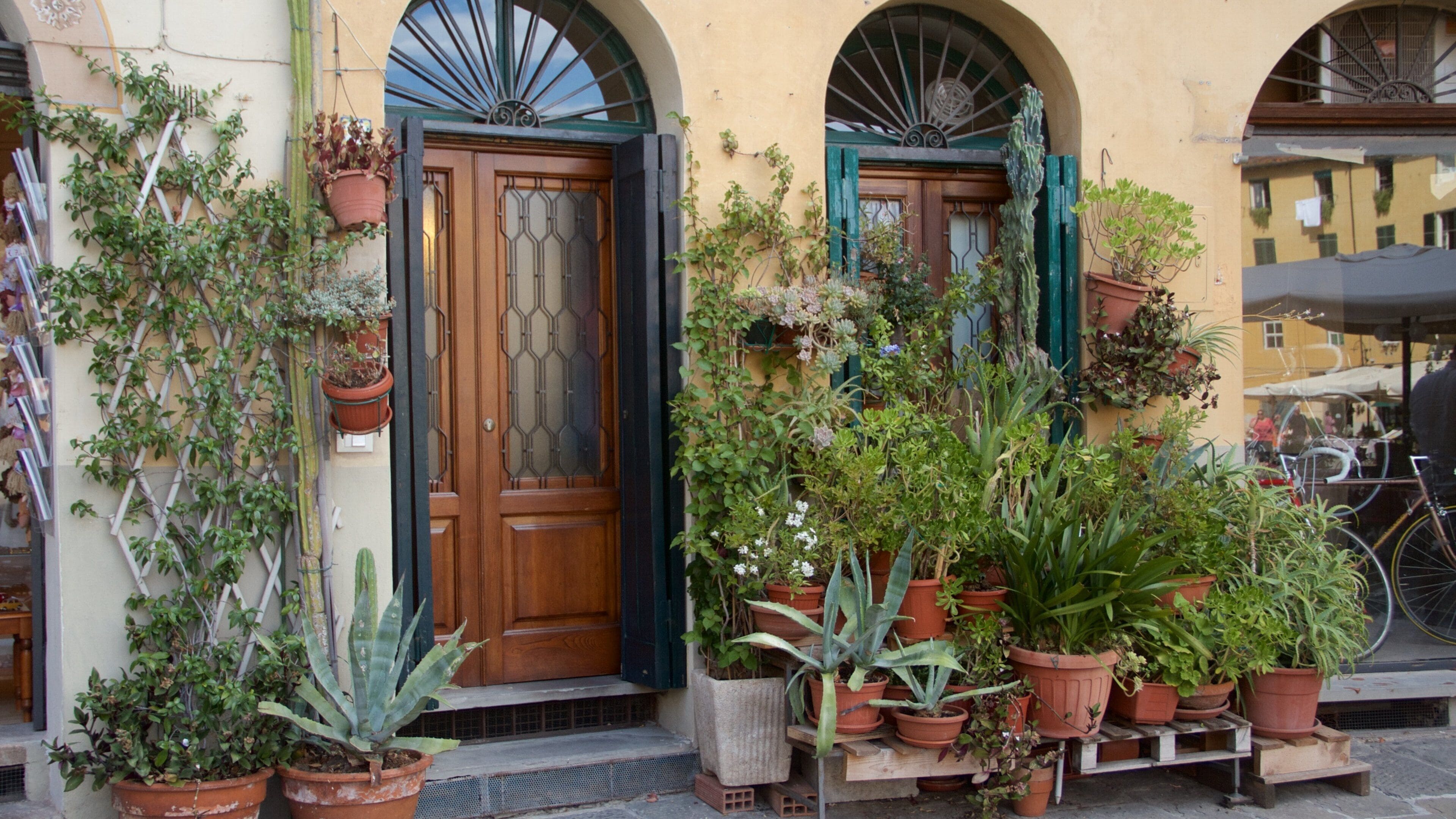 Church of San Michele in Foro which includes a house