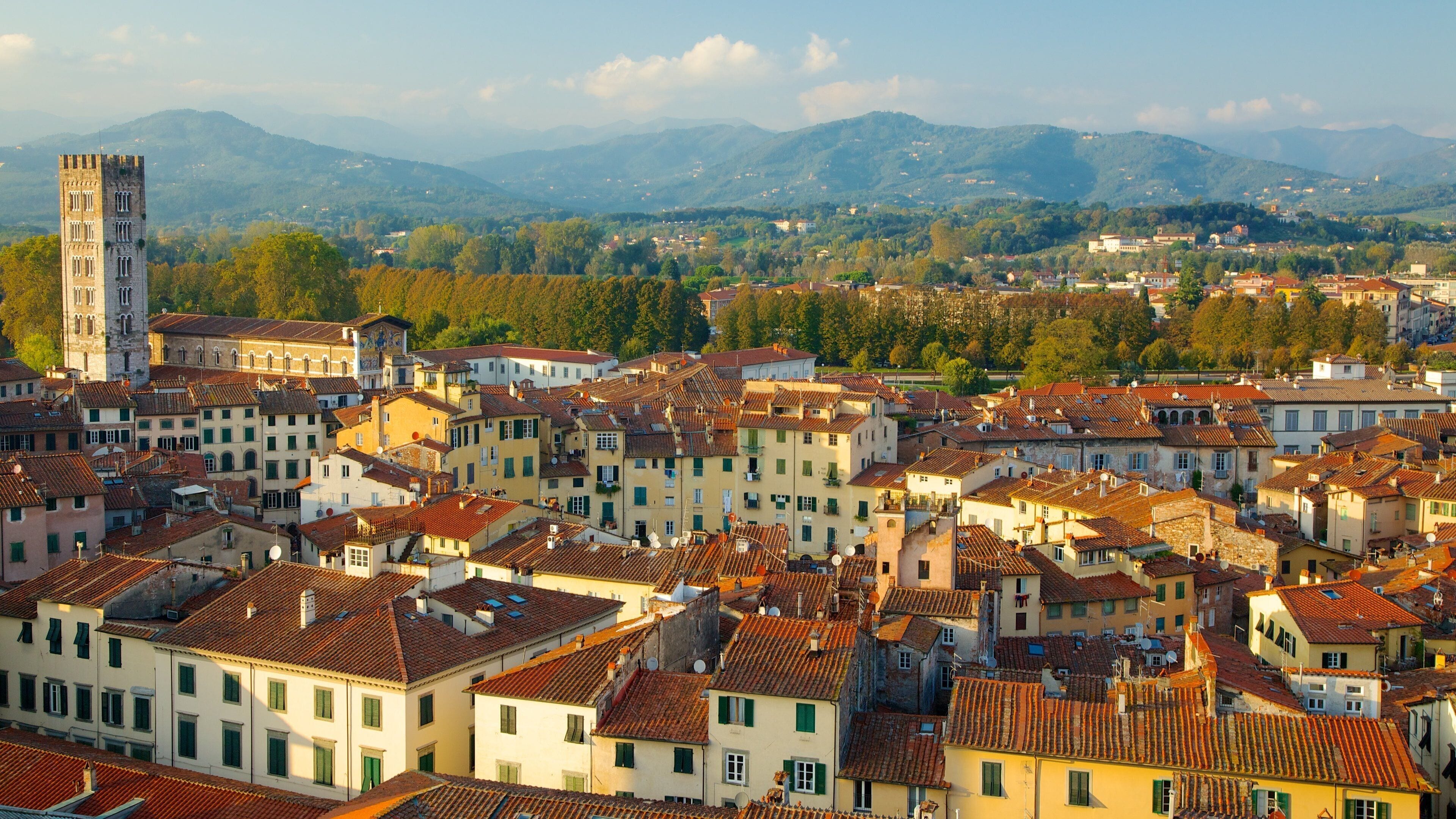 Guinigi Tower featuring a city, mountains and landscape views