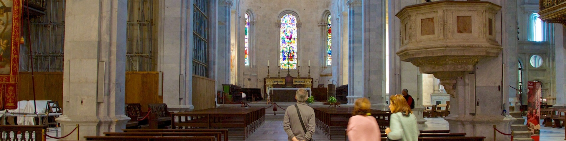 Cathedral of St Martin showing interior views, a church or cathedral and religious aspects