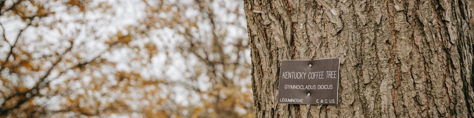 Cylburn Arboretum which includes signage and fall colors