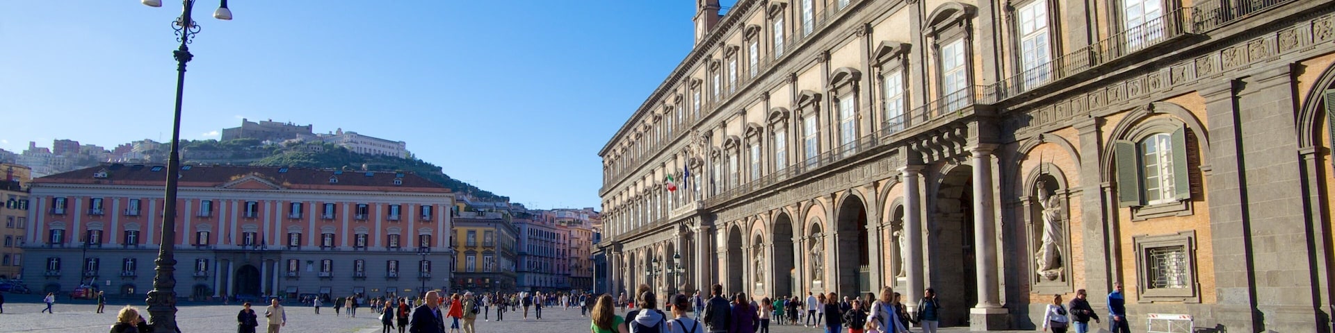 Palazzo Reale que inclui um castelo e cenas de rua assim como um grande grupo de pessoas