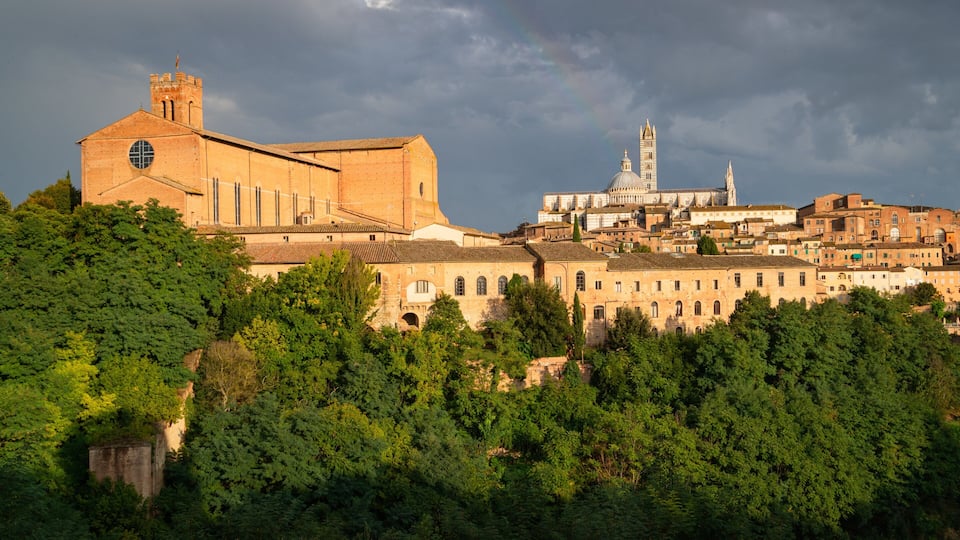 Basilica di San Domenico showing a city and landscape views