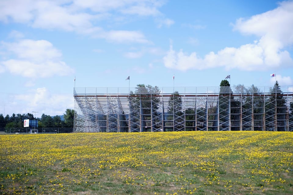 Um campo de flores amarelas, com um edifício em construção e andaimes ao fundo.