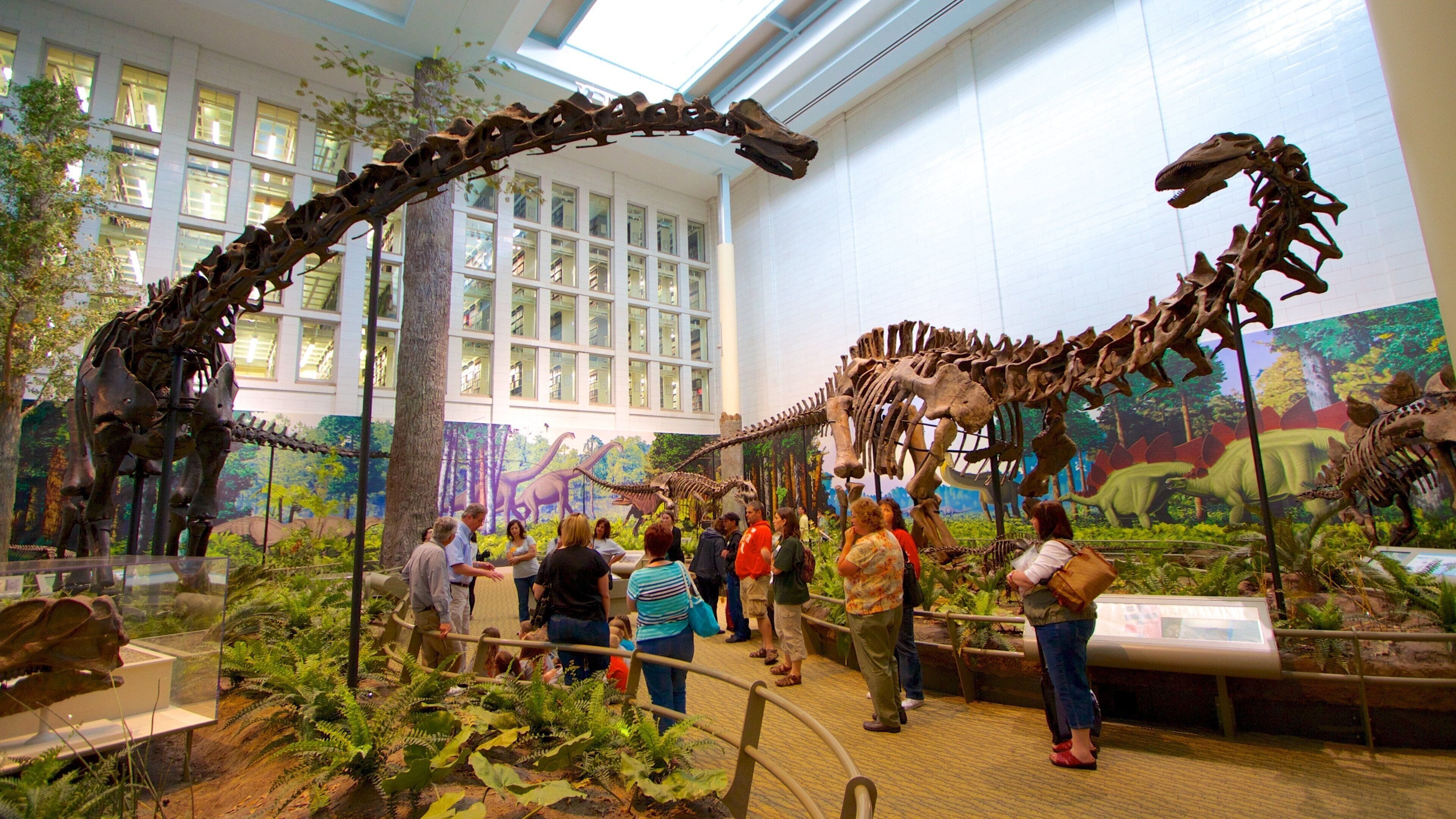 Museu com esqueletos de dinossauros e um mural de animais pré-históricos.