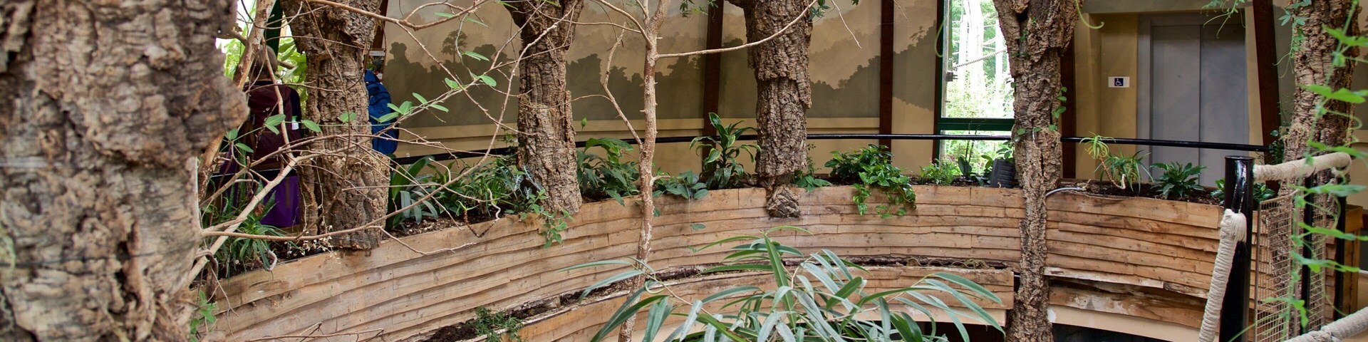 Jersey Zoological Park featuring a park