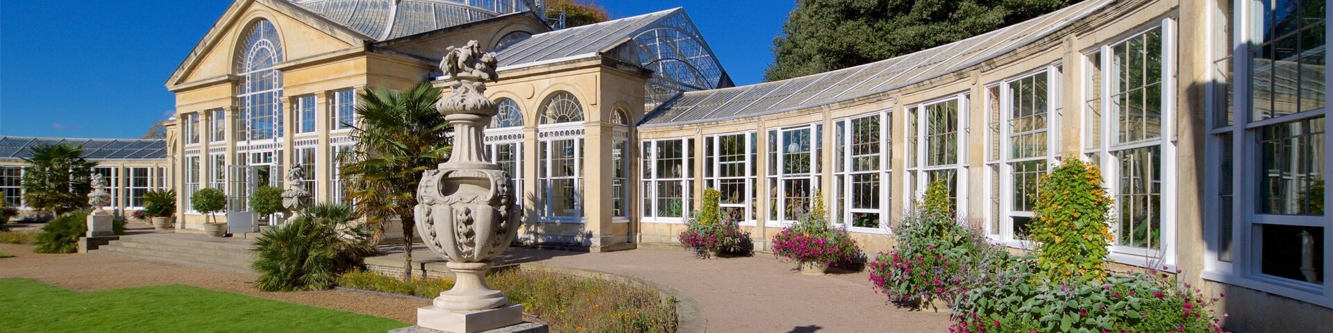 Syon Park which includes a garden and wildflowers