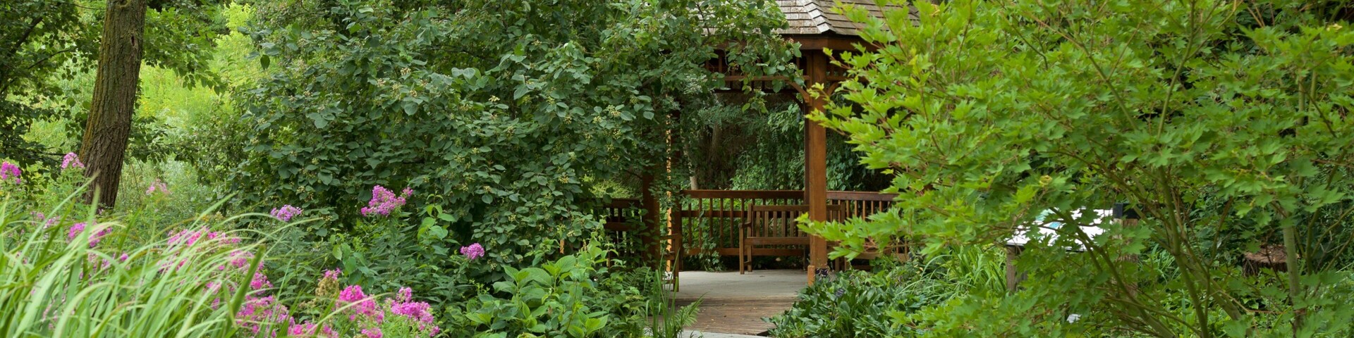 Lauritzen Gardens mostrando um jardim e flores silvestres