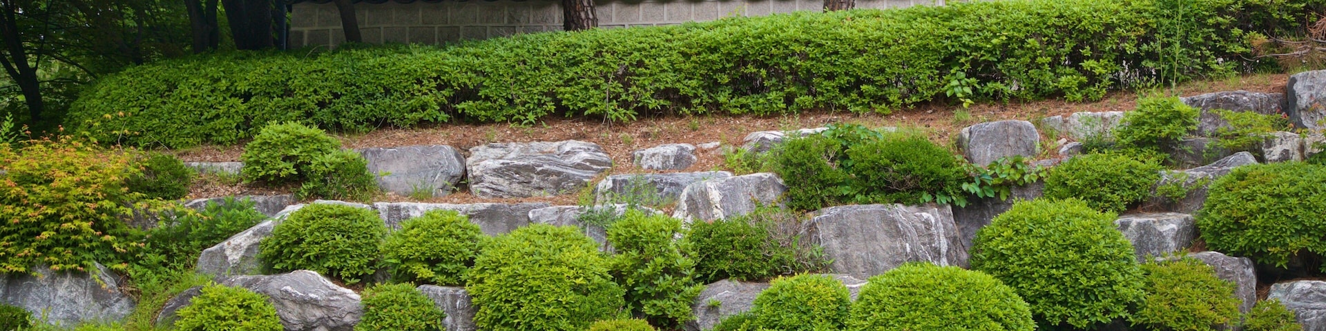 Seoul National University showing a park