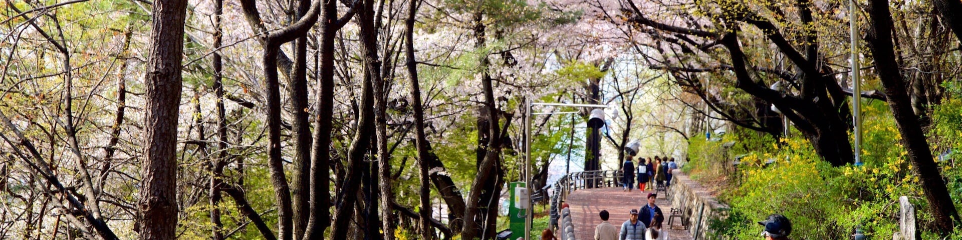 Jayu Park which includes wildflowers and a garden as well as a small group of people