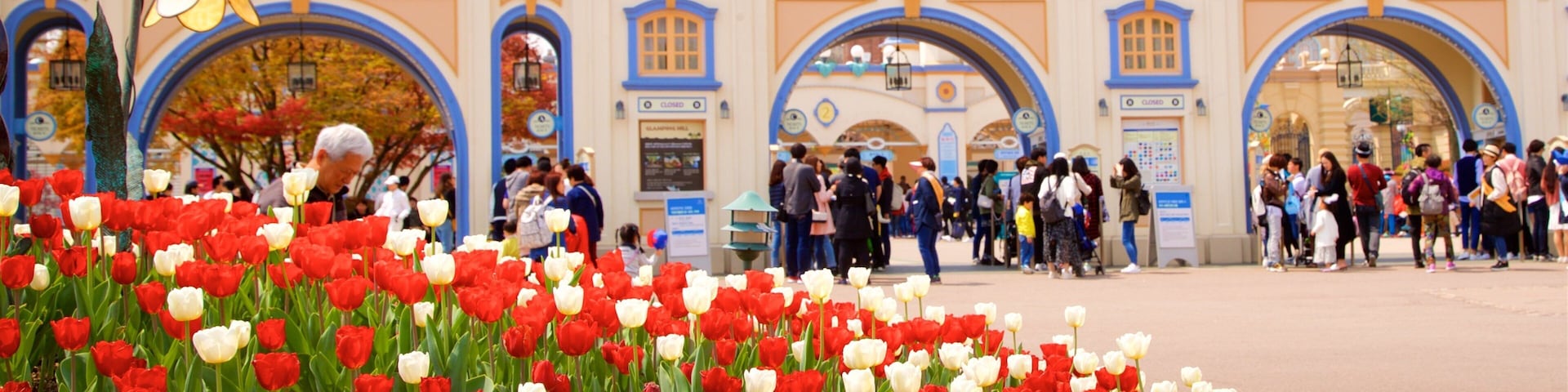 Um parque com tulipas vermelhas e brancas, um edifício com arcos azuis e pessoas ao fundo.