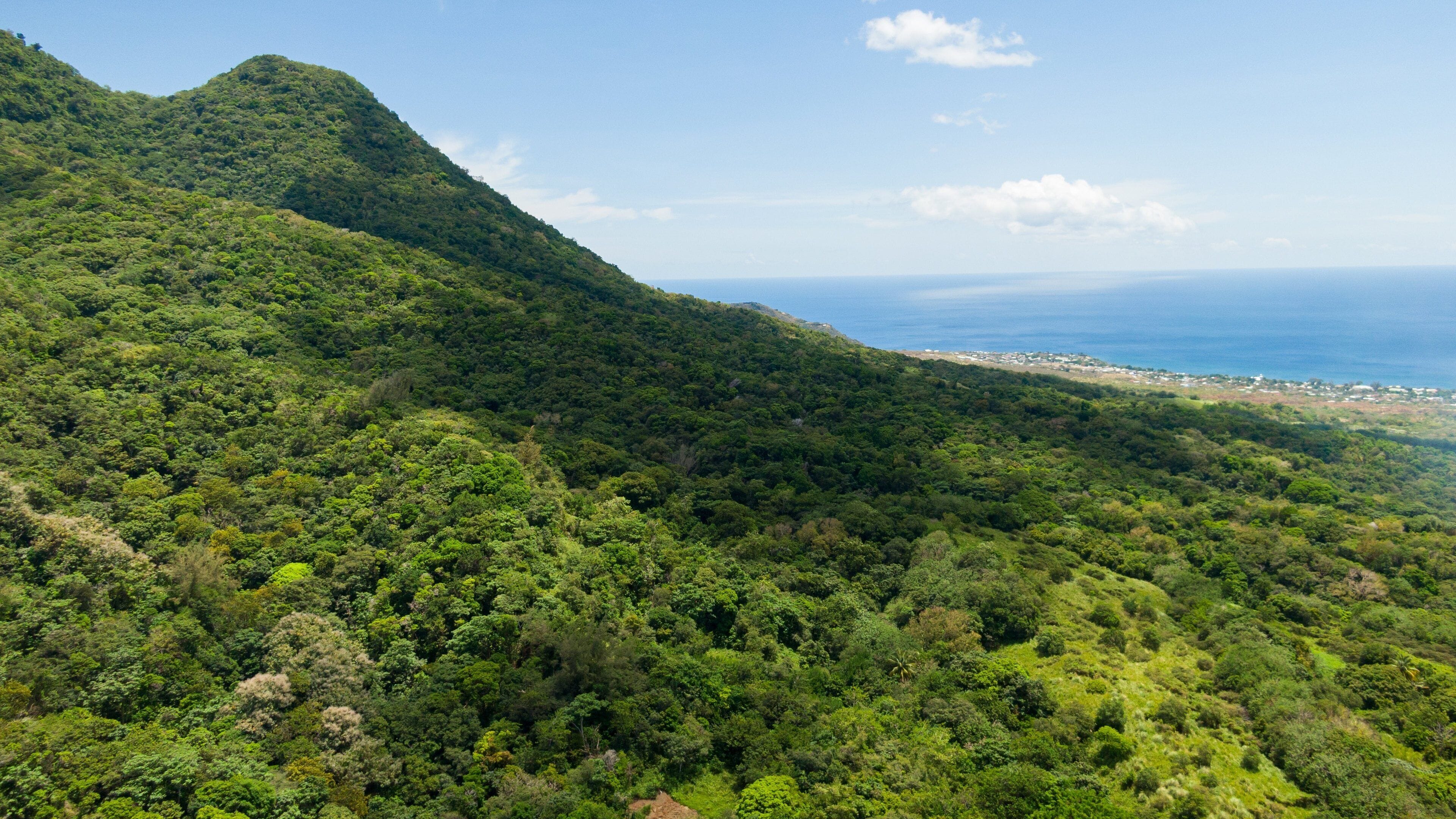 Mount Liamuiga which includes general coastal views, mountains and landscape views