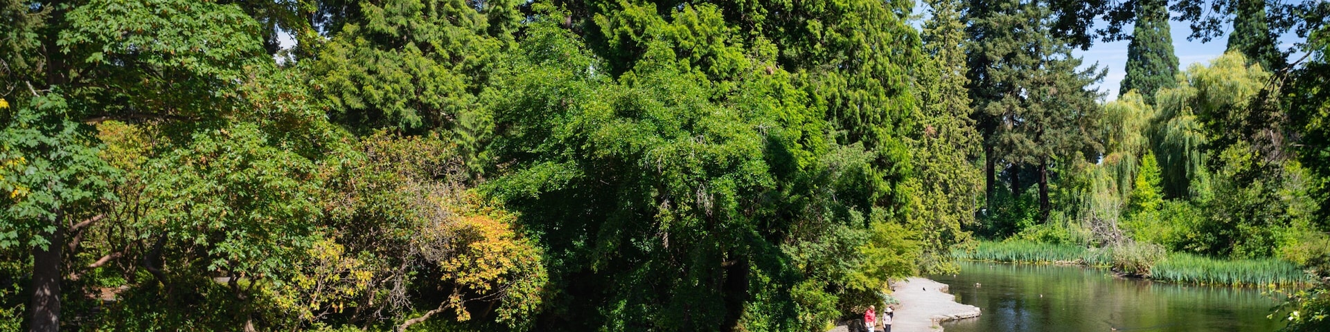 Crystal Springs Rhododendron Garden showing a pond
