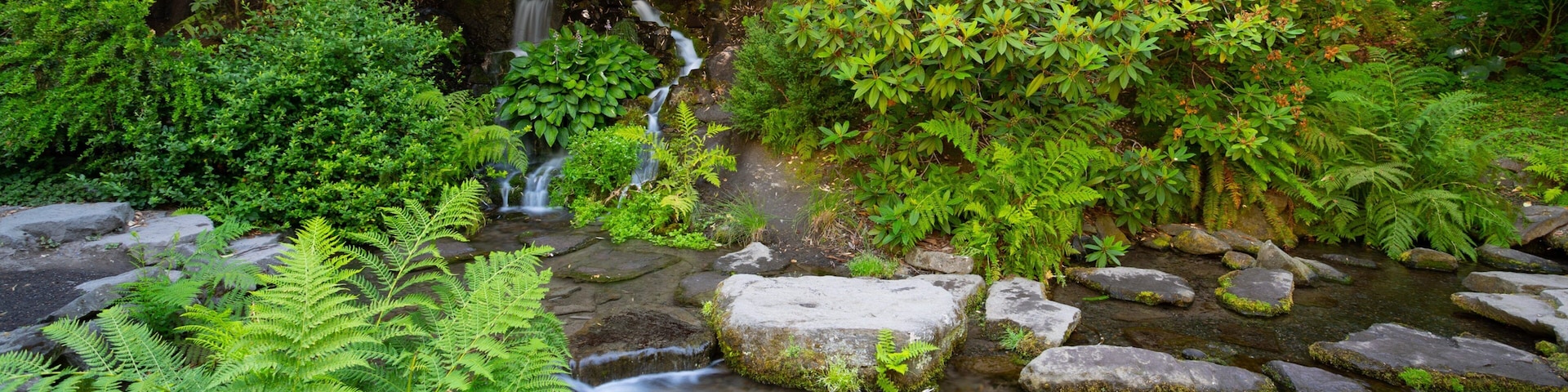 Crystal Springs Rhododendron Garden showing a river or creek