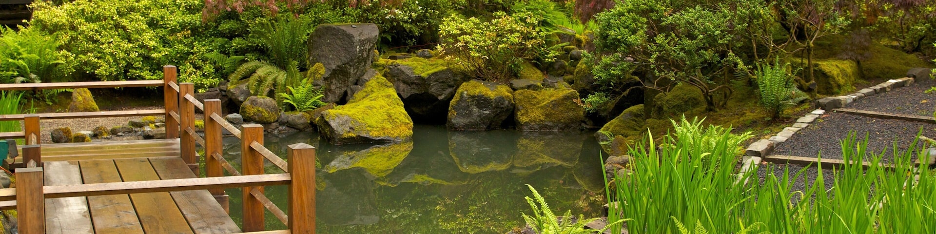 Tranquil scenes of Portland Japanese Garden showcasing vibrant foliage and serene waters in Oregon