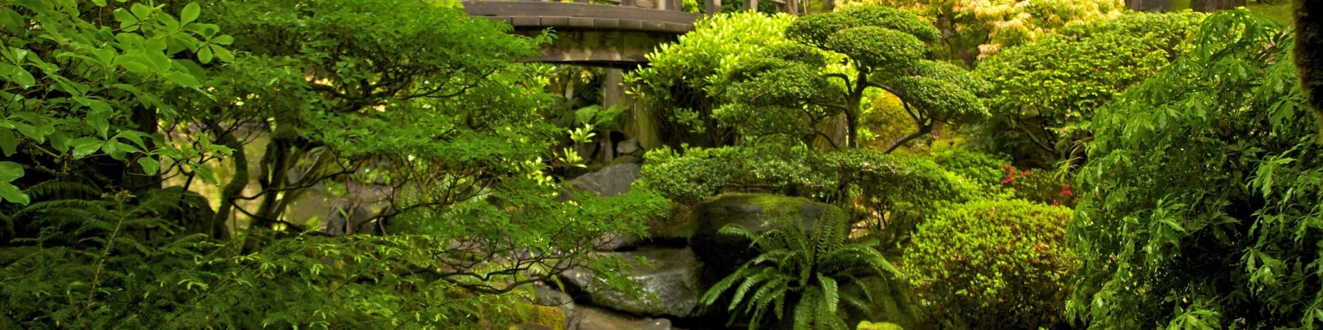 Exploring the serene beauty of Portland Japanese Garden in Oregon's lush landscape