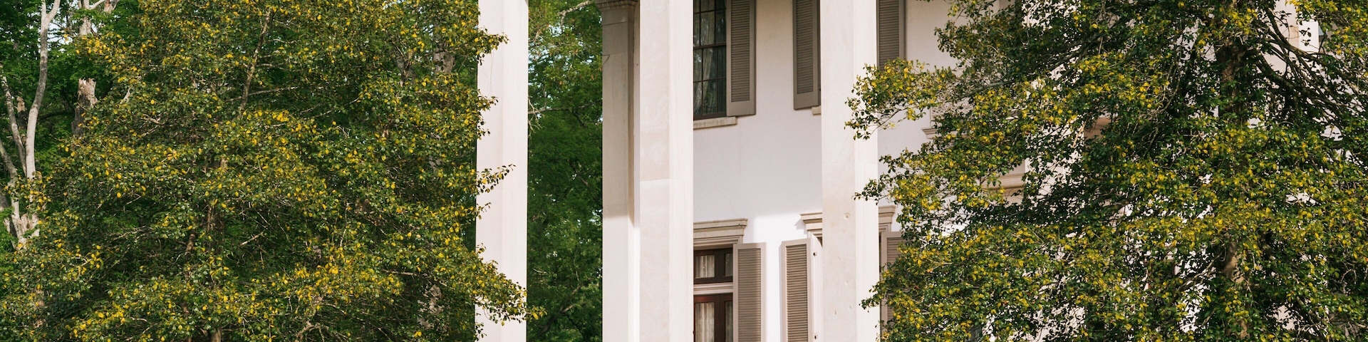 Belle Meade Plantation