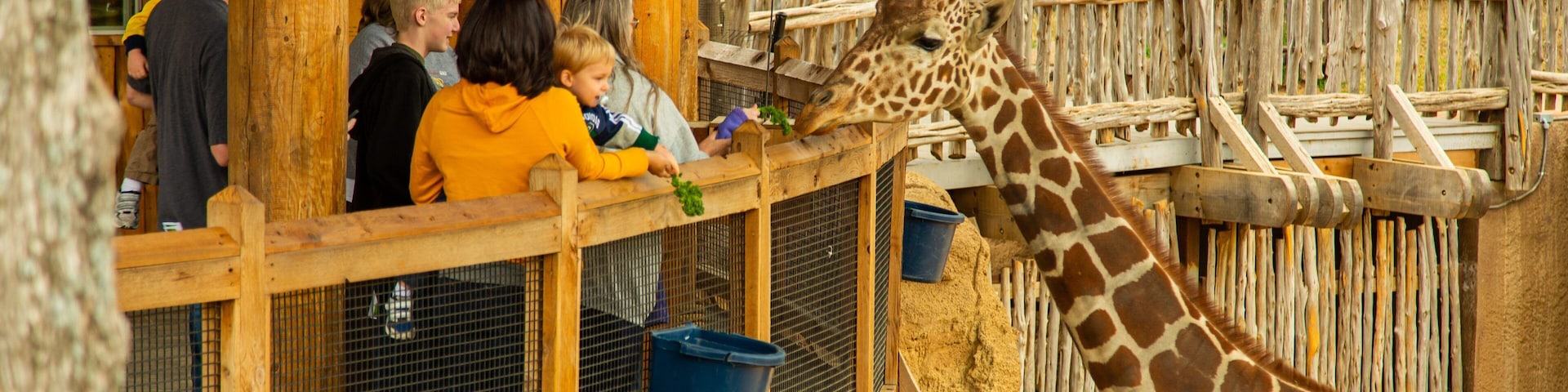 Dallas Zoo