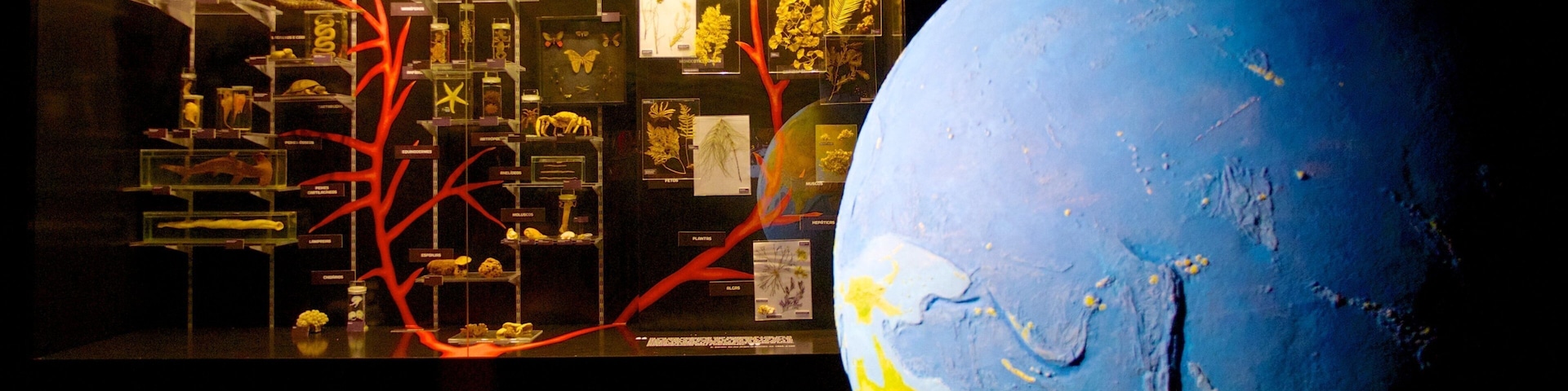 National Museum of Natural History which includes interior views