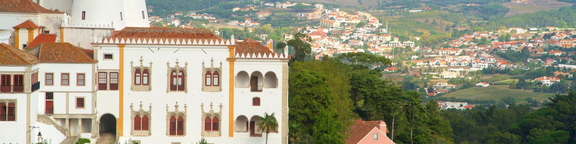 Sintra National Palace showing tranquil scenes