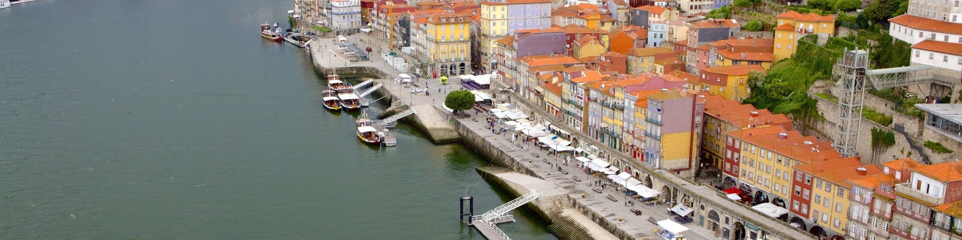 Dom Luis I Bridge featuring boating, a river or creek and a marina