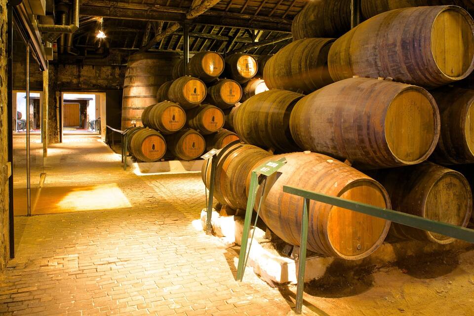 Uma adega com barris de madeira empilhados em estantes e no chão.