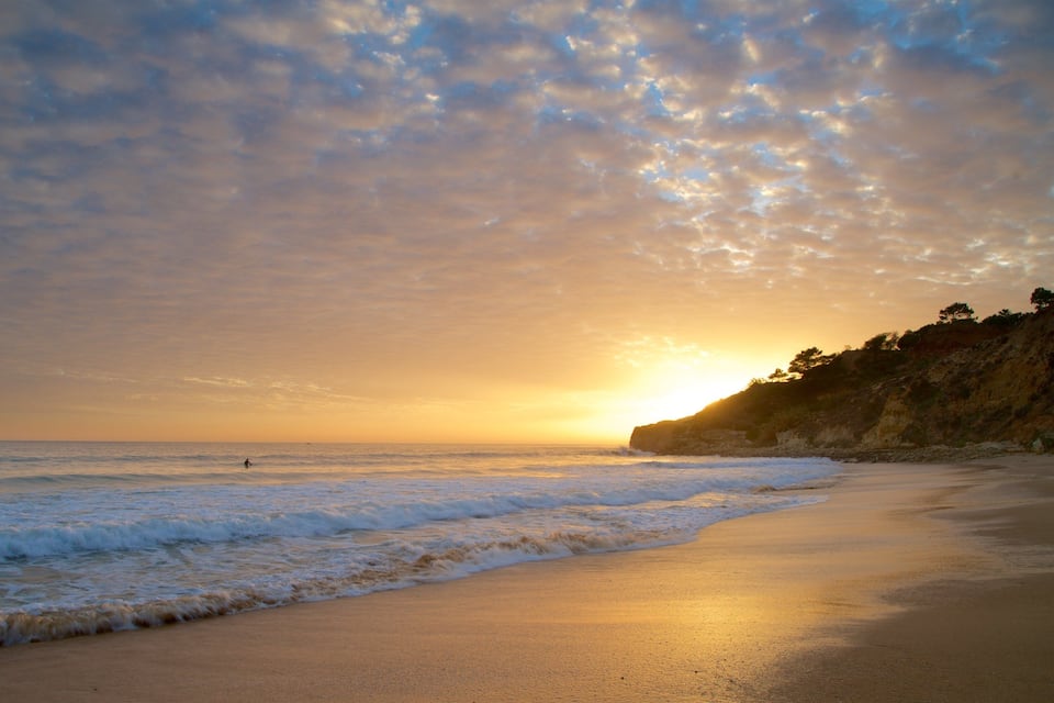 Uma praia com ondas ao pôr do sol, um penhasco com árvores e céu claro.
