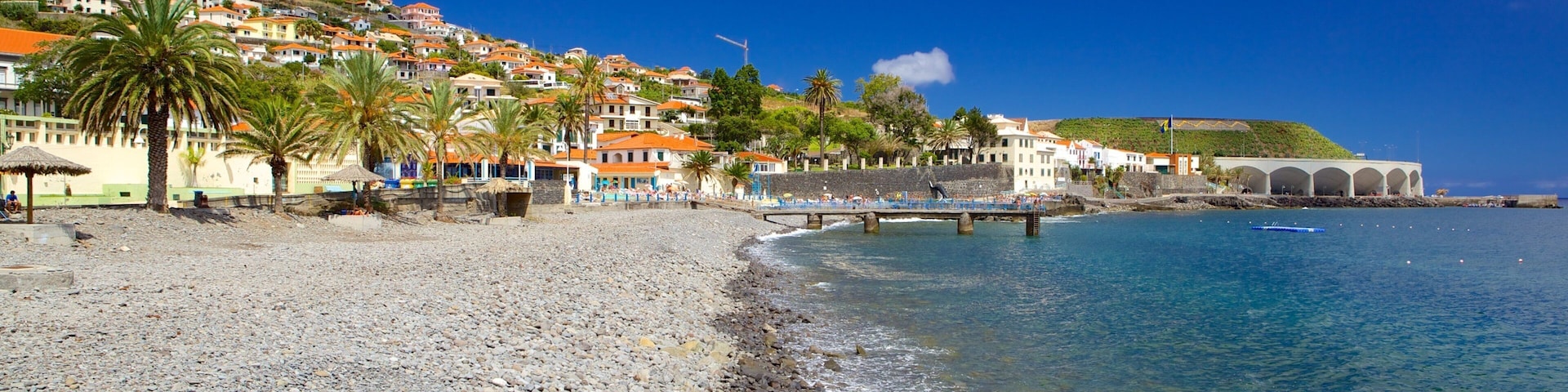 Santa Cruz Beach showing a coastal town and a pebble beach