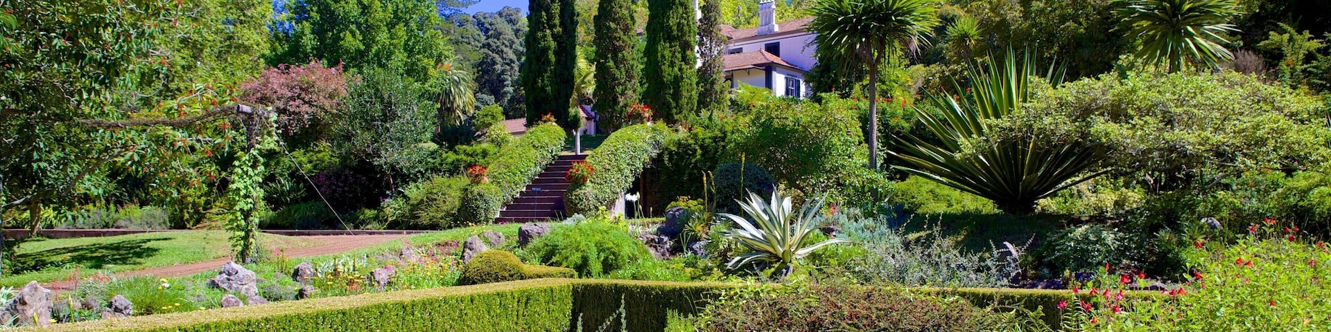 Palheiro Gardens showing a garden