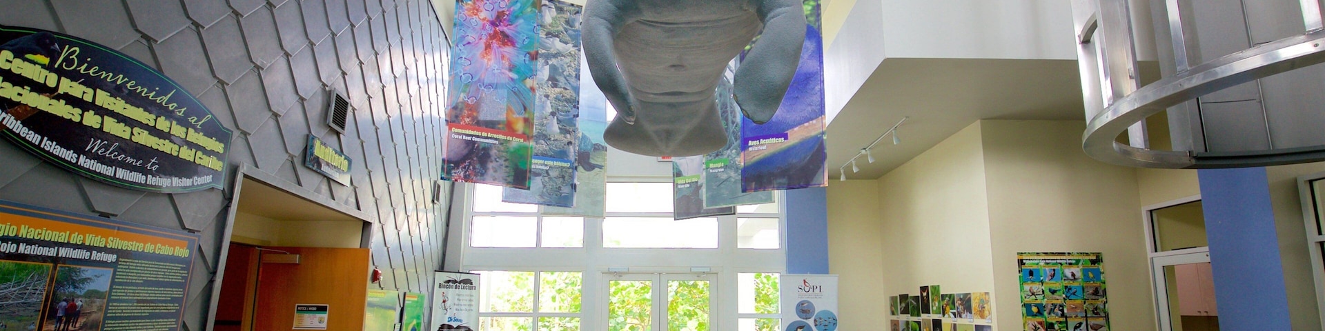 Cabo Rojo National Wildlife Refuge