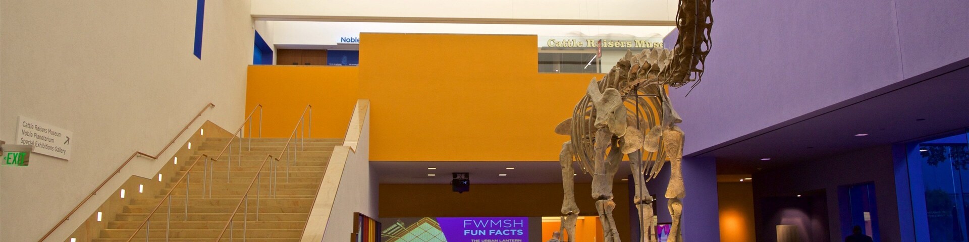 Exposição de esqueleto de dinossauro em museu, com uma escadaria que leva até ele.