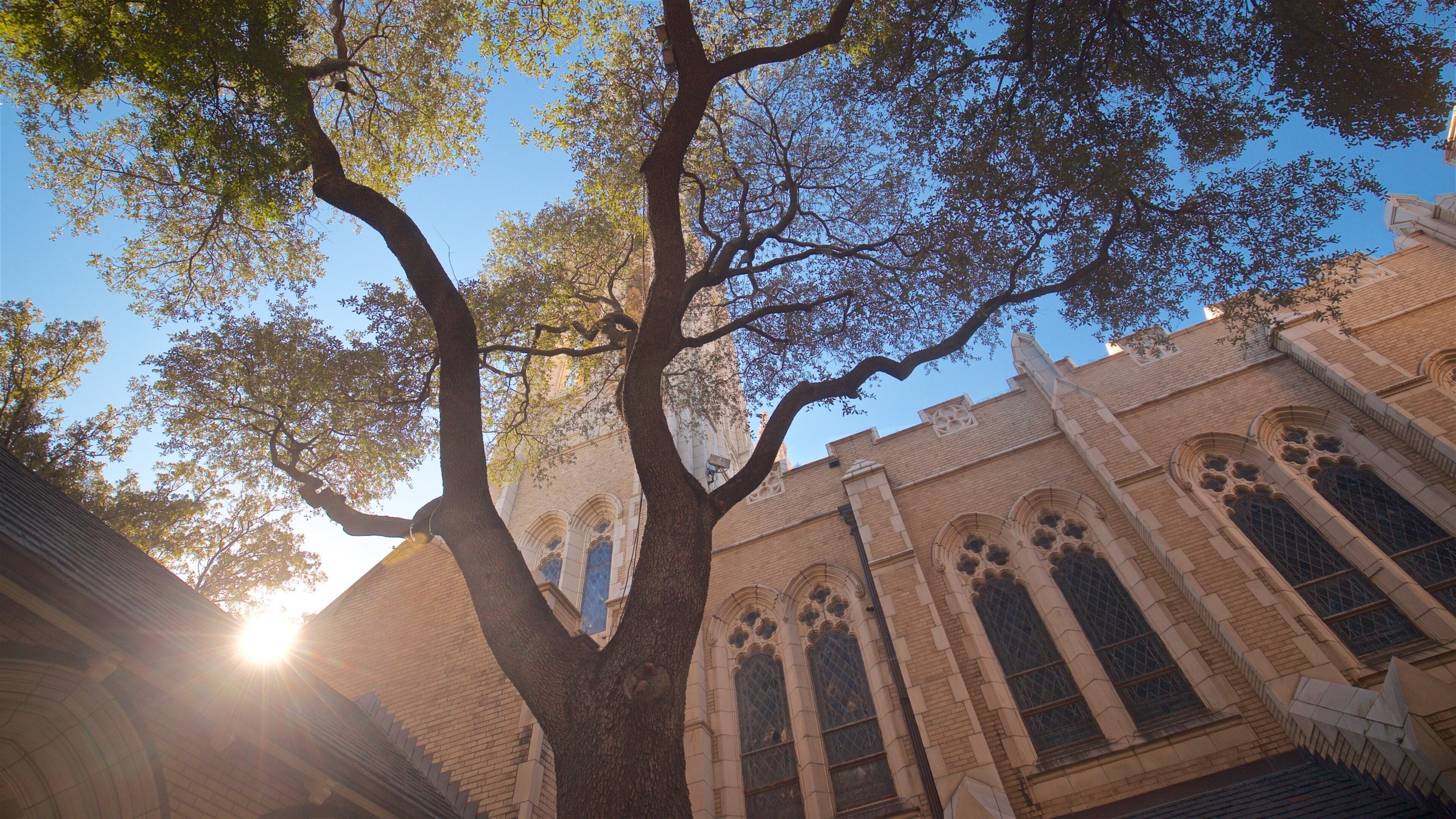 St. Patrick Cathedral which includes a sunset, heritage architecture and a church or cathedral