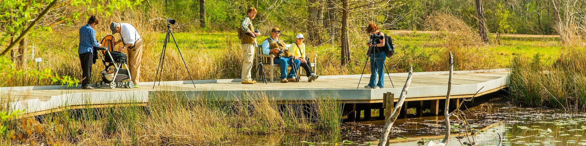Houston Arboretum and Nature Center
