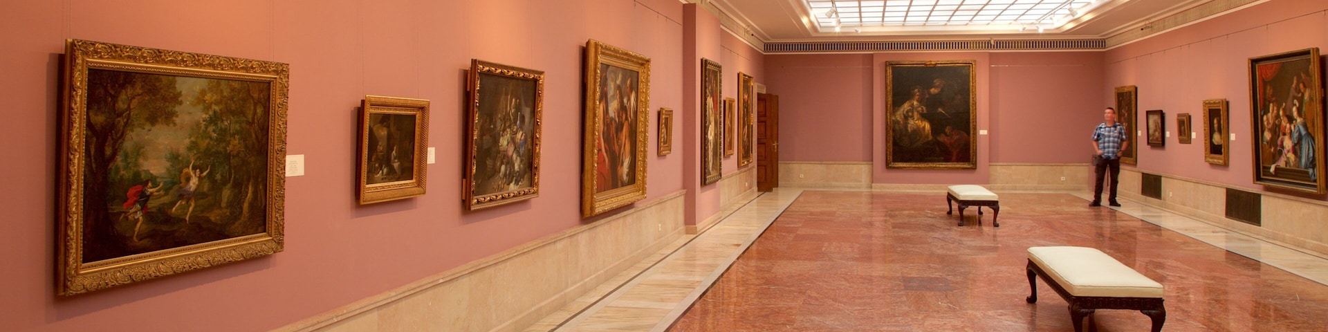 National Museum of Art of Romania which includes interior views and art as well as an individual male