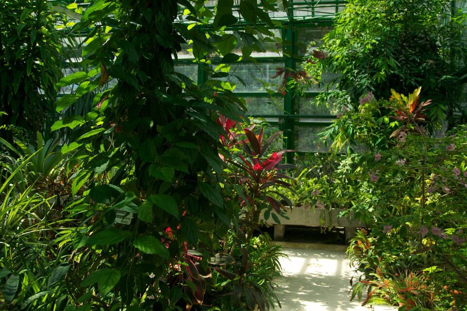 Uma estufa com diversas plantas e uma placa indicando 'fechado'.